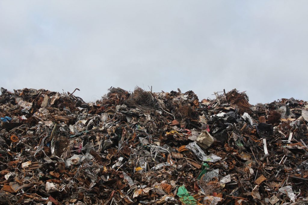 How Can We Better Manage Food Waste? - Sunway XFarms