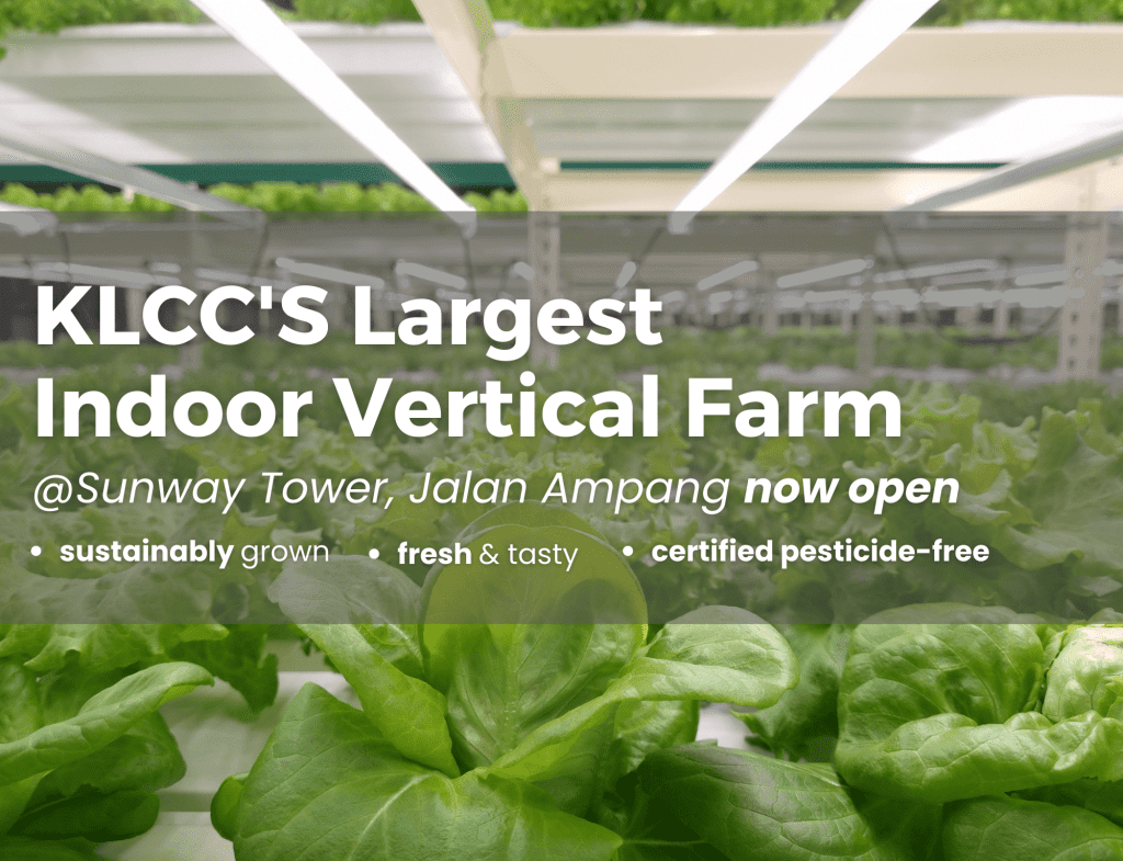 Sunway XFarms: Online Organic Vegetable Delivery Kuala Lumpur