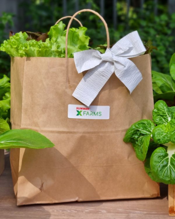 Sunway XFarms: Online Organic Vegetable Delivery Kuala Lumpur