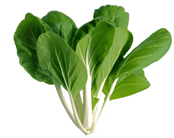 Sunway XFarms: Online Organic Vegetable Delivery Kuala Lumpur