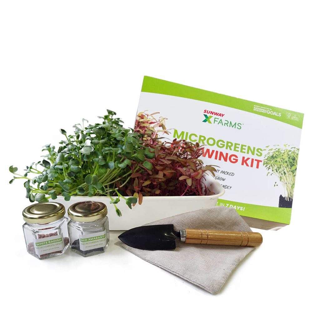 Eco-friendly Mini Farm Kit - Sunway XFarms