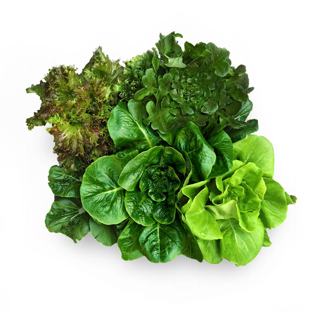 Sunway XFarms: Online Organic Vegetable Delivery Kuala Lumpur