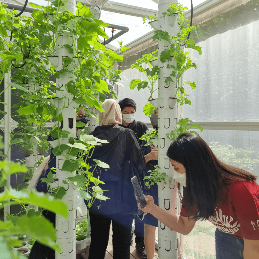 Urban Farm Tour in Malaysia - Sunway XFarms