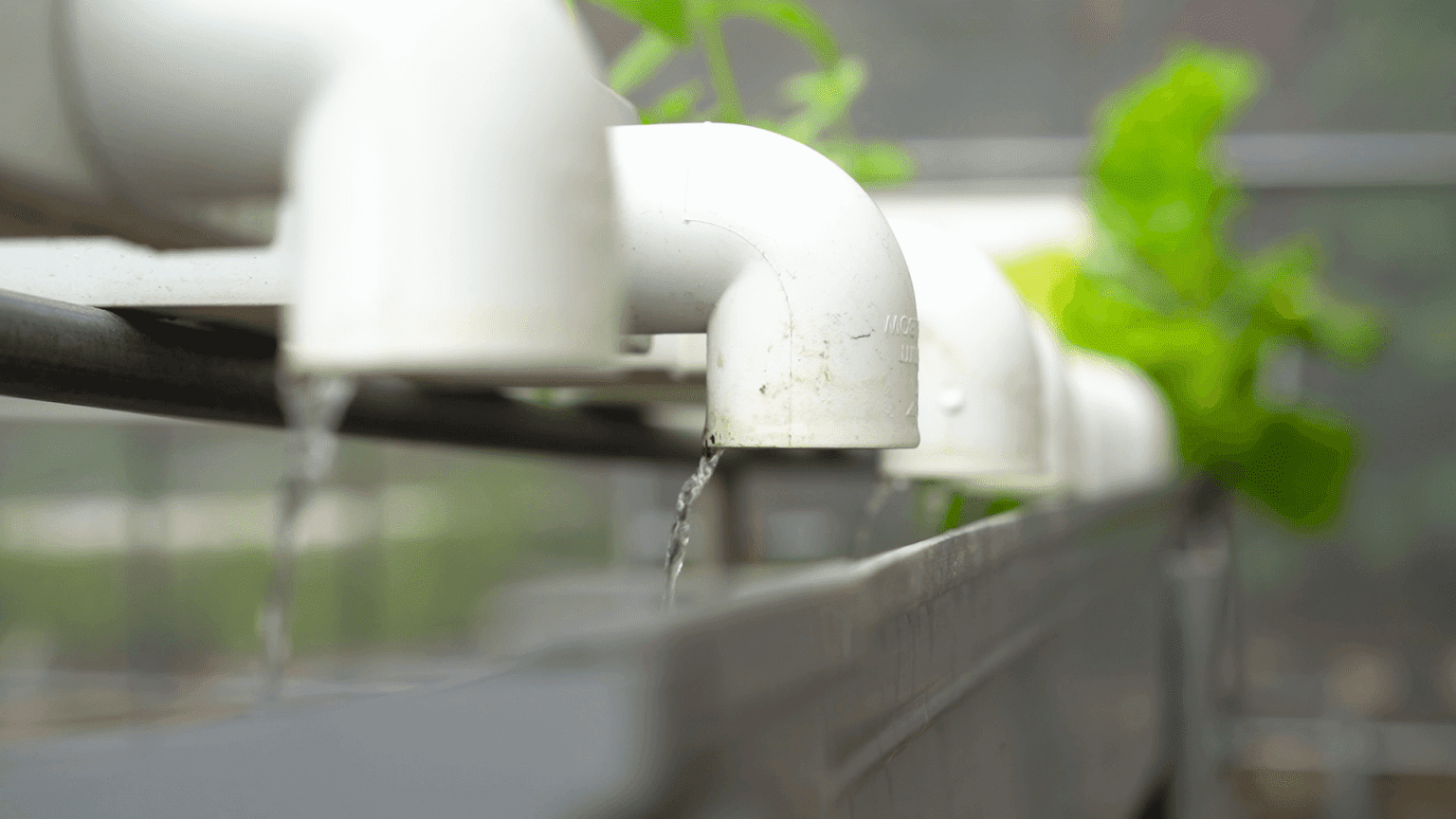 Sustainability - Sunway XFarms