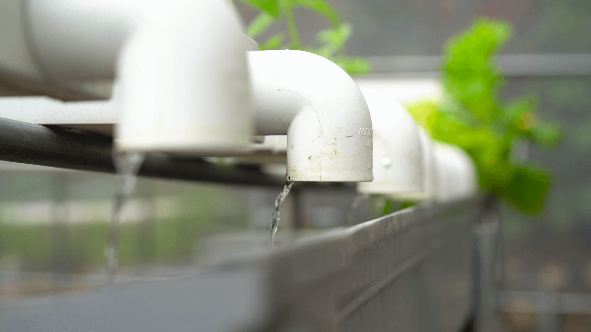 Sustainability - Sunway XFarms