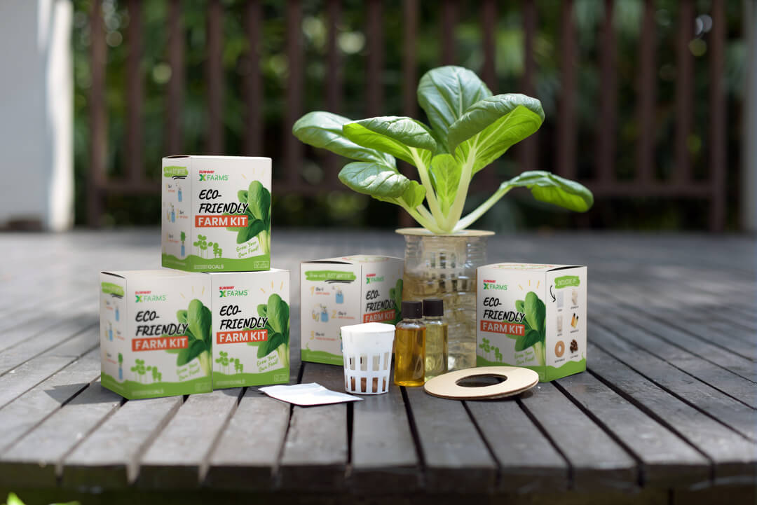 Sustainable Gift Ideas for Conscious Christmas Giving - Sunway XFarms