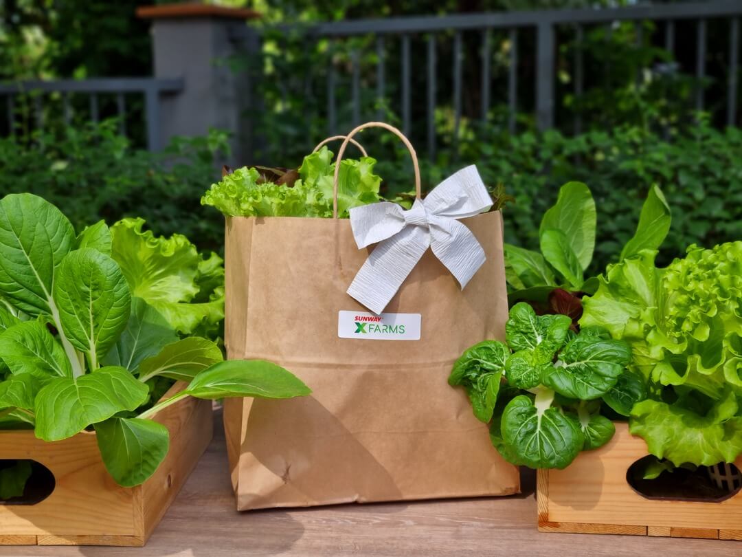 Farm Building - Sunway XFarms