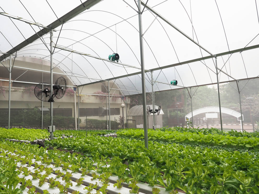 Farm Building - Sunway XFarms