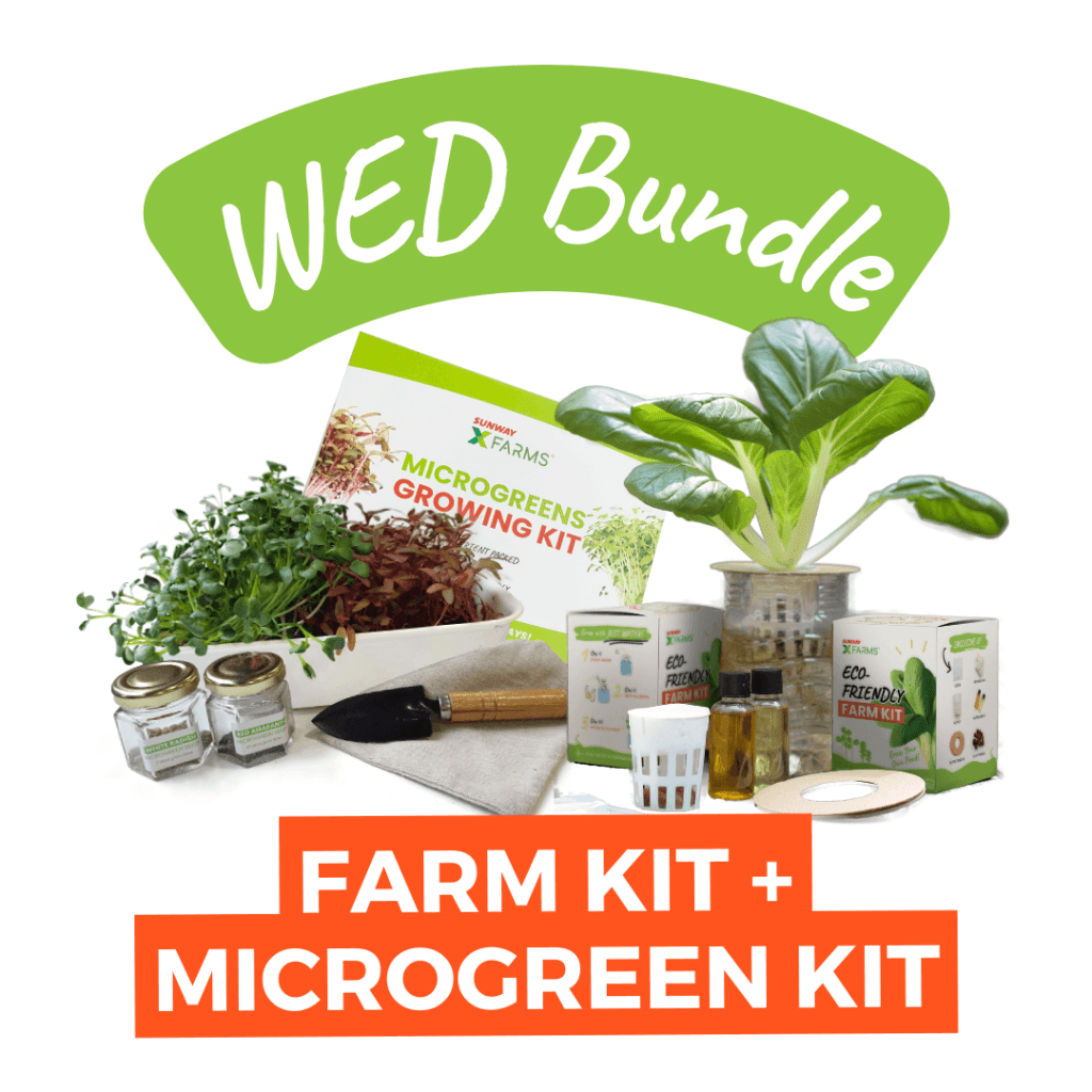 Eco-friendly Mini Farm Kit - Sunway XFarms