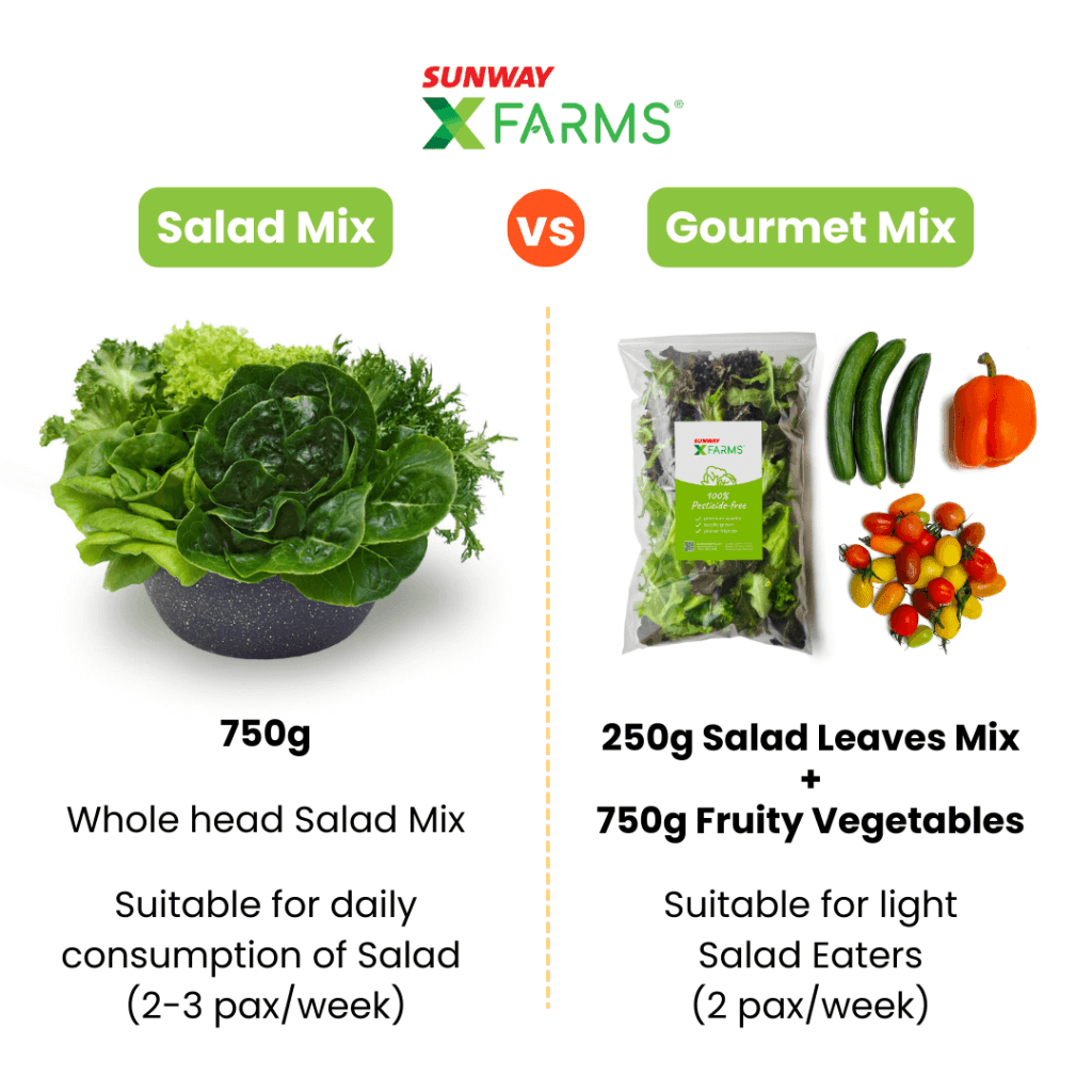 Gourmet Mix (Salad Leaf Mix + Fruity Vegetables) - Sunway XFarms