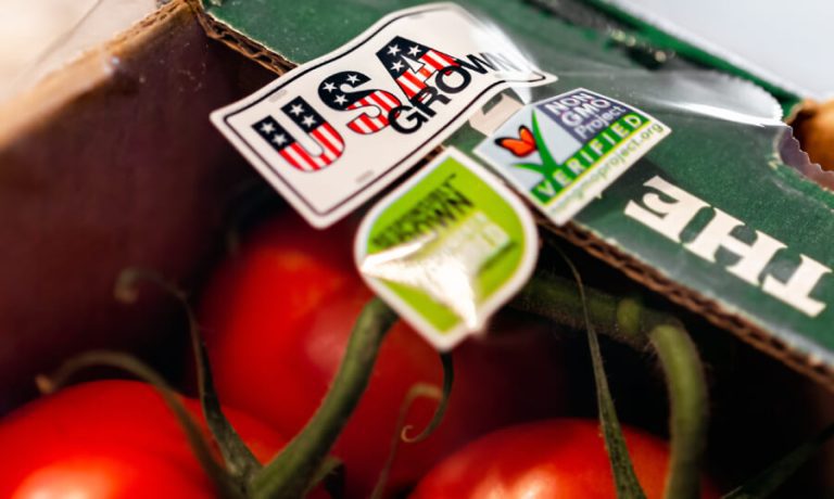 GMO Crops: What are They & Should We Worry? - Sunway XFarms