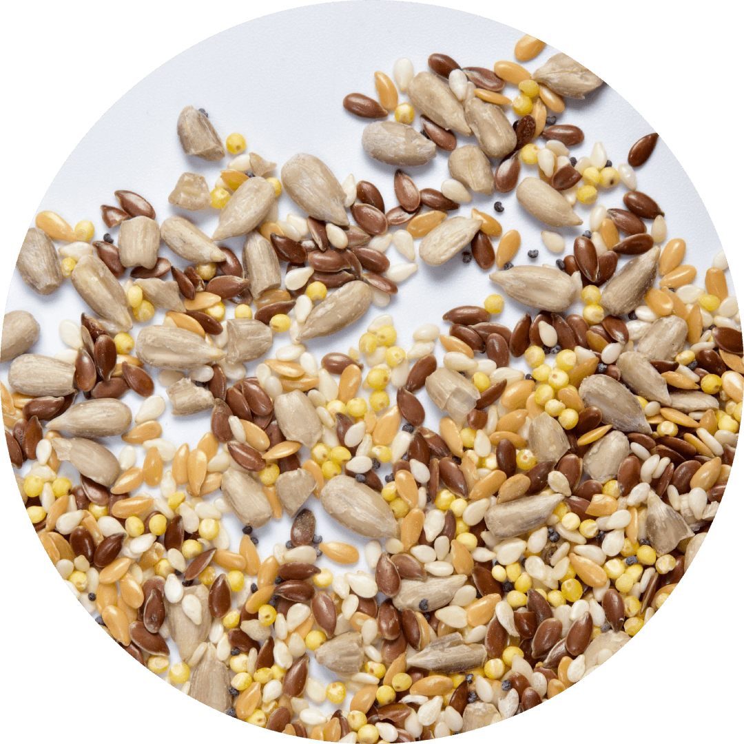 Sunny Strong Nutritious Multigrain Drink - Sunway XFarms